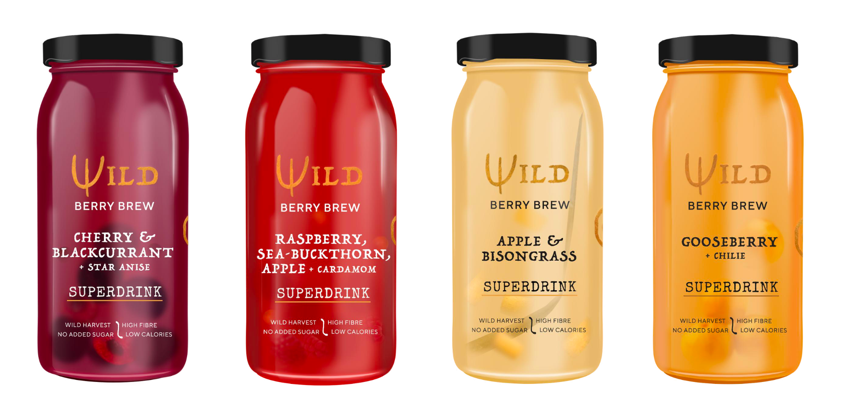 Wild Berry Brew Superdrink – Scott Winston